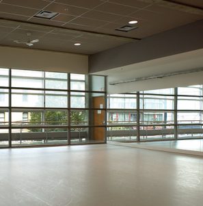 Home - The Dance Centre