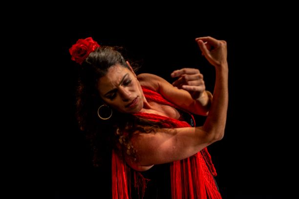 Member Spotlight: Liat Har Lev - The Dance Centre